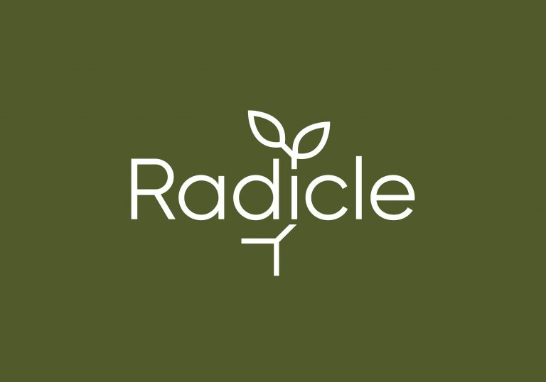 The Digital Hub launch Radicle Lab to explore Dublin 8 community art ...